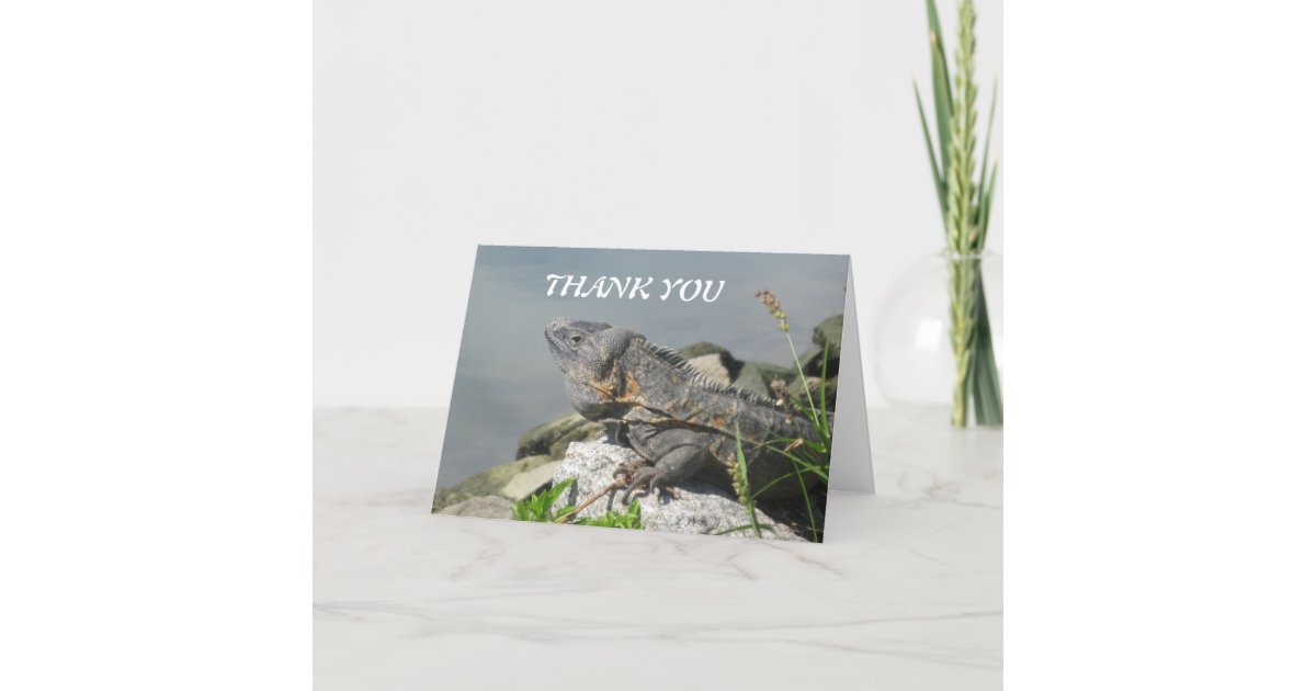 Lizard Rock Thank You Greeting Card | Zazzle