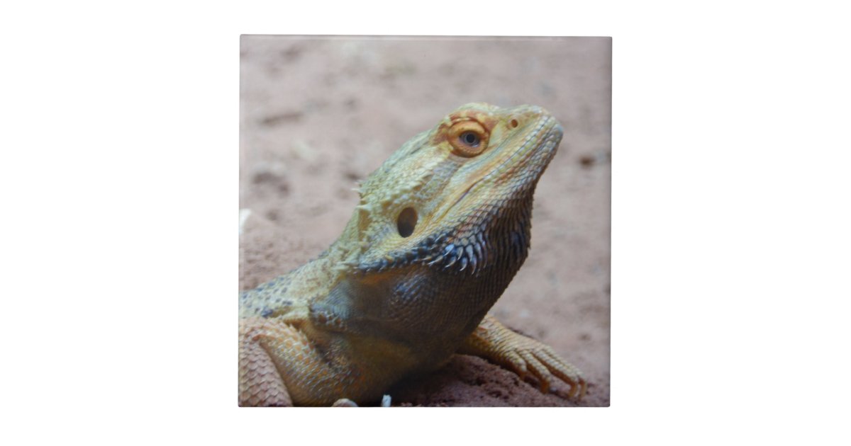 Lizard Tile | Zazzle