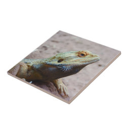 Lizard Tile | Zazzle