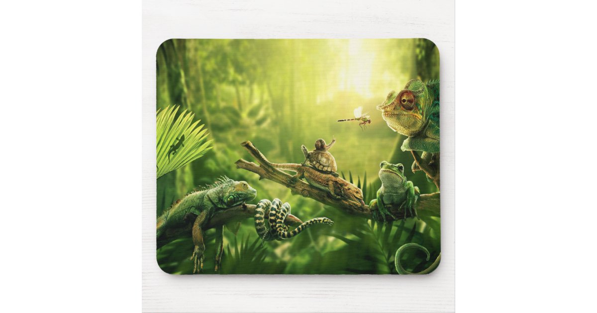 Lizards Frogs Jungle Reptiles Landscape Mouse Pad | Zazzle
