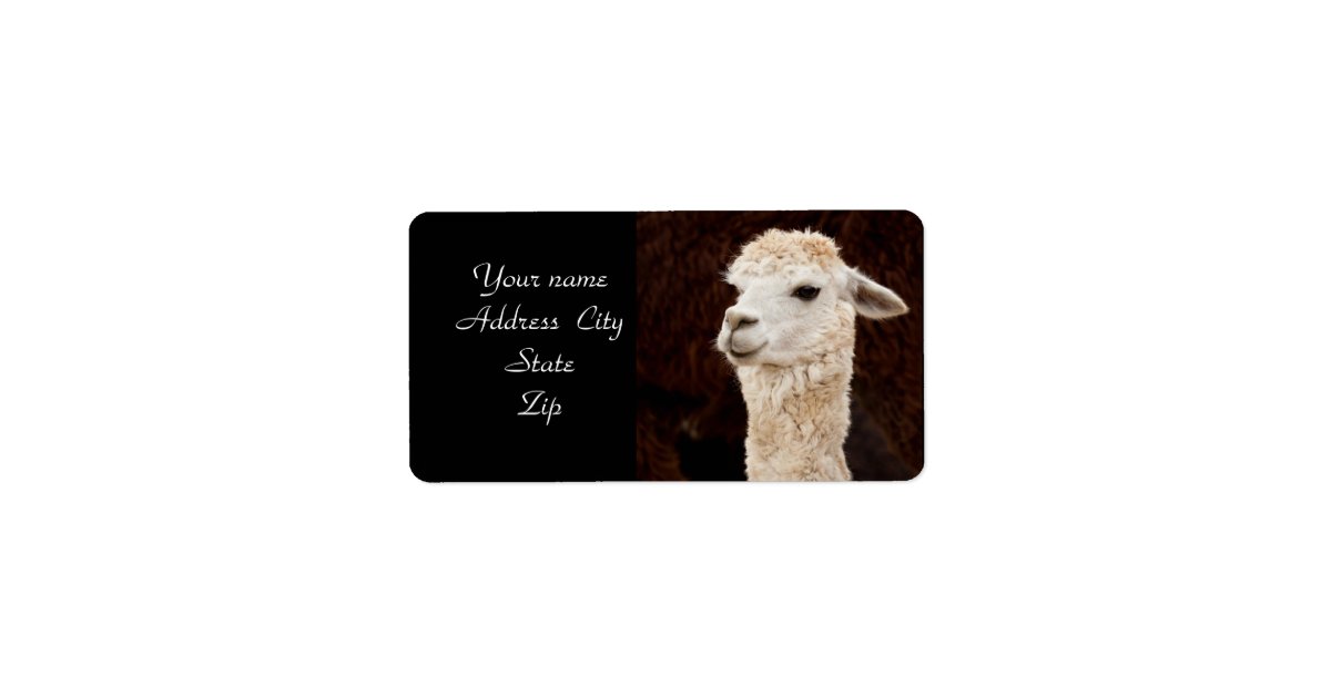 LLama address labels | Zazzle