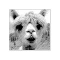 LLAMA ALPACA RUBBER STAMP | Zazzle