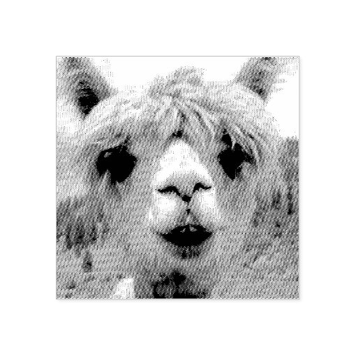 LLAMA ALPACA RUBBER STAMP | Zazzle