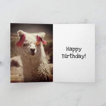 Llama, Birthday Card | Zazzle