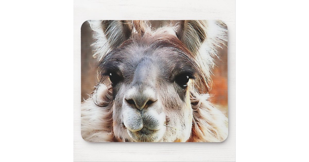 Llama Mouse Pad | Zazzle