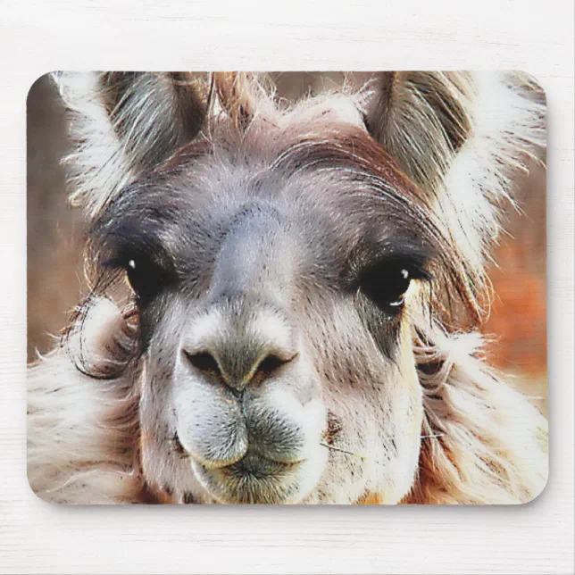 Llama Mouse Pad | Zazzle