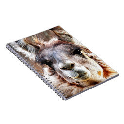 Llama Notebook | Zazzle