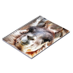Llama Notebook | Zazzle