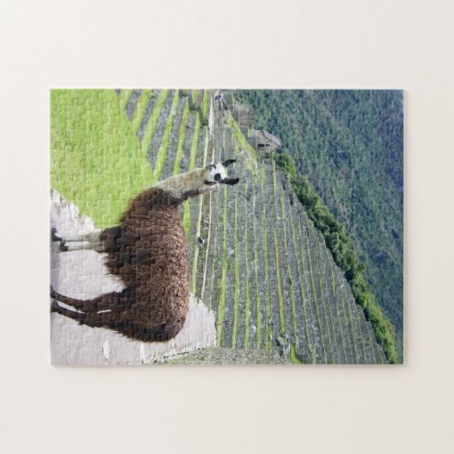llama peru jigsaw puzzle | Zazzle