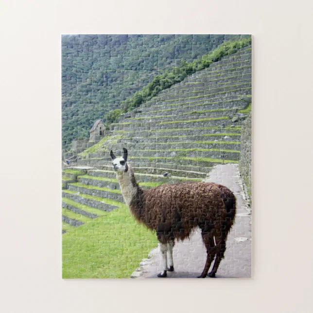 llama peru jigsaw puzzle | Zazzle