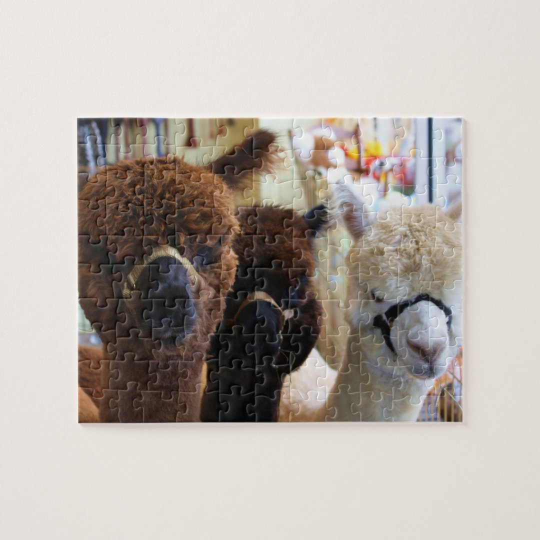 Llama Puzzle | Zazzle
