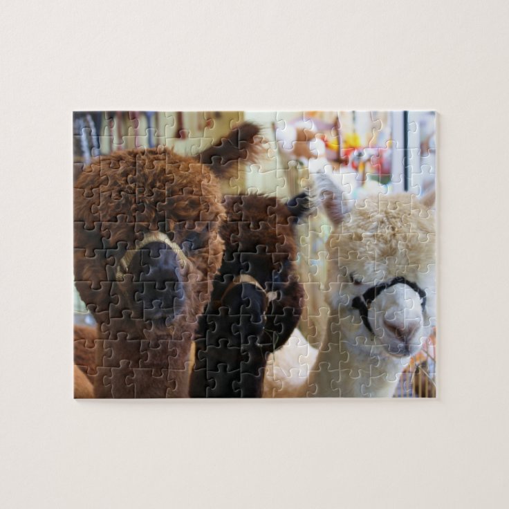 Llama Puzzle | Zazzle