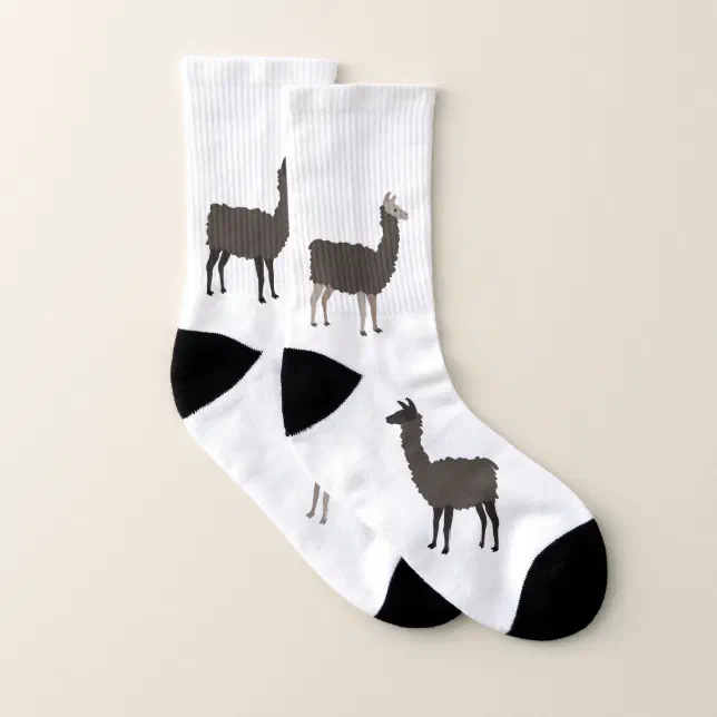 Llama Socks | Zazzle