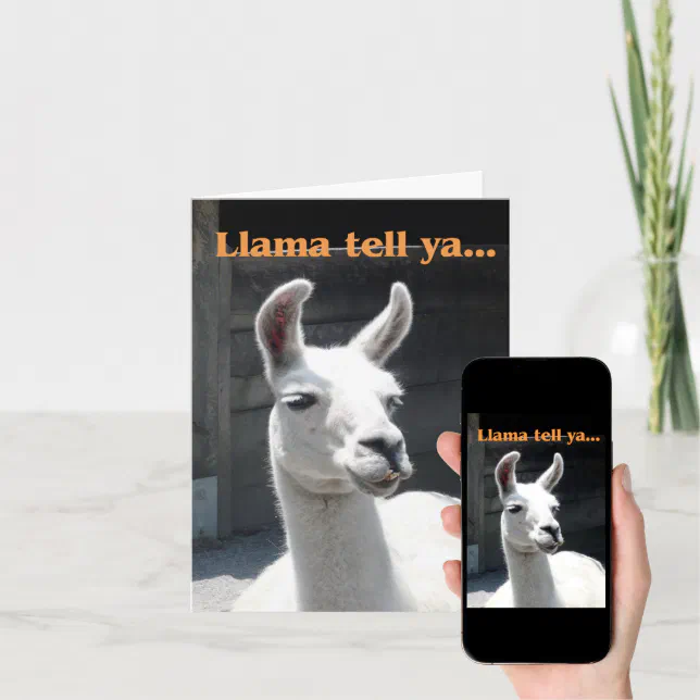 "Llama Tell Ya" Smiling Llama Blank Note Card | Zazzle