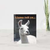 "Llama Tell Ya" Smiling Llama Blank Note Card | Zazzle