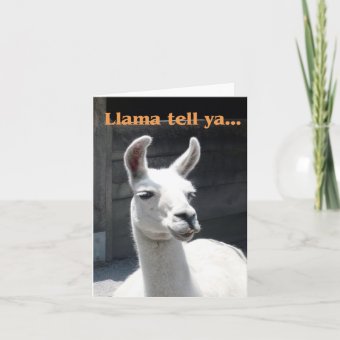 "Llama Tell Ya" Smiling Llama Blank Note Card | Zazzle
