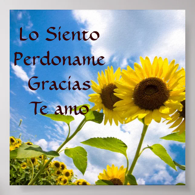 Lo Siento , Perdoname, Gracias , Te Amo Poster | Zazzle