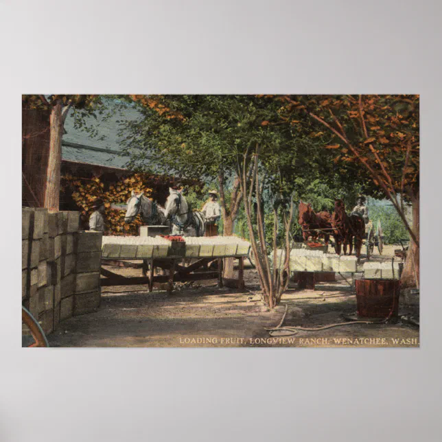 Loading Fruit at Longview Ranch Poster | Zazzle