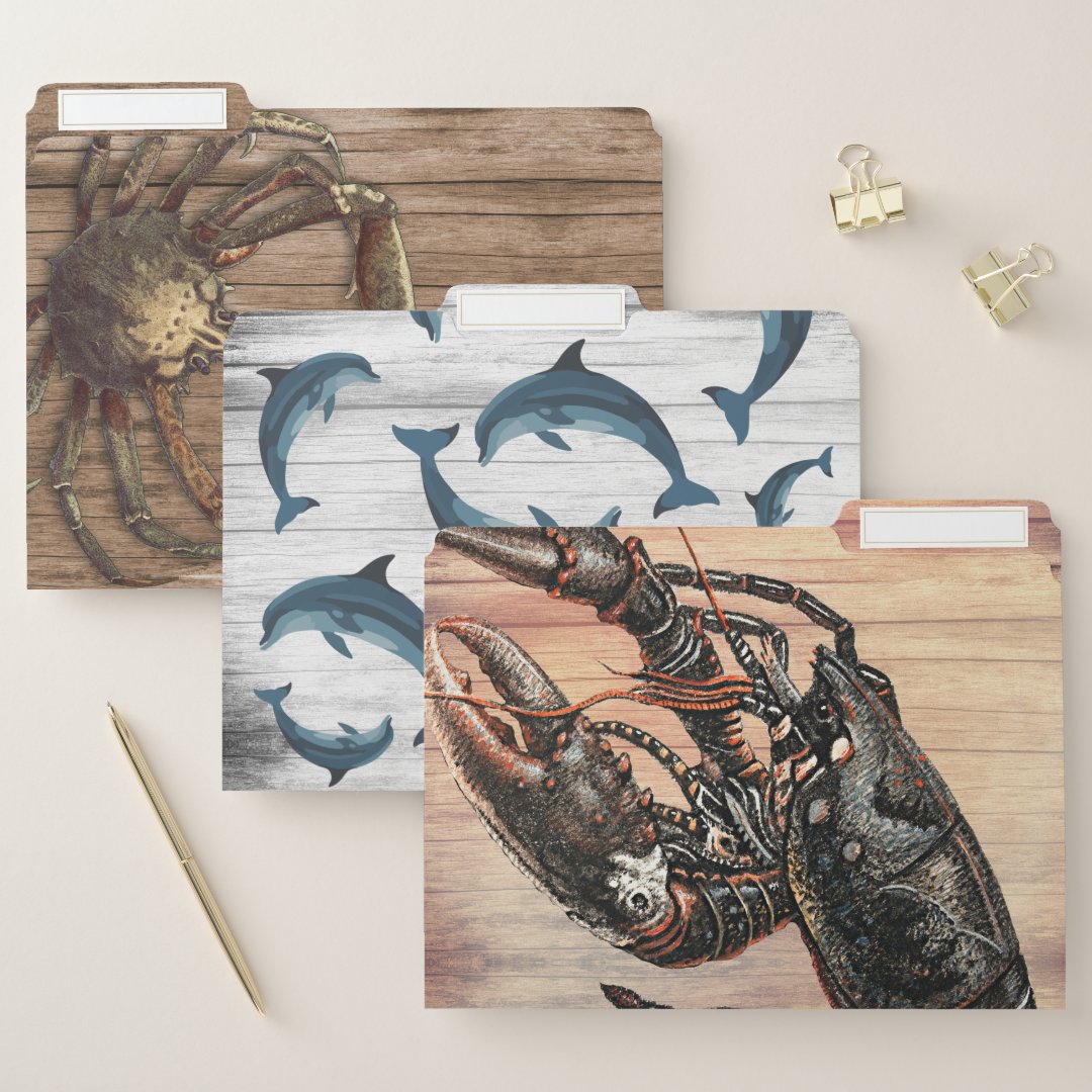 Lobster Crab Dolphin Wood Background Set File Folder | Zazzle