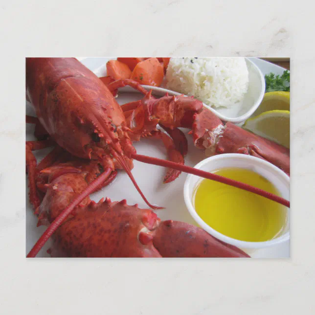 Lobster Dinner Postcard | Zazzle