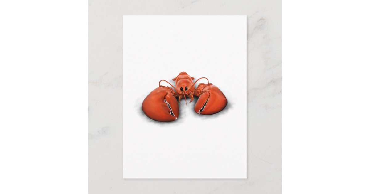 Lobster Postcard | Zazzle