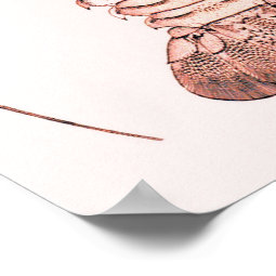 Lobster Poster ~ Rock Lobster | Zazzle