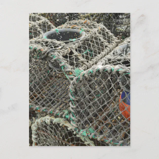 Lobster pots postcard | Zazzle