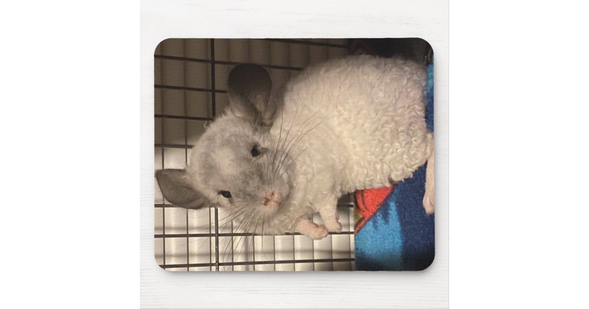 Locken "Curly" Chinchilla Mousepad | Zazzle