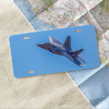 Lockheed Martin F-22A Raptor License Plate | Zazzle
