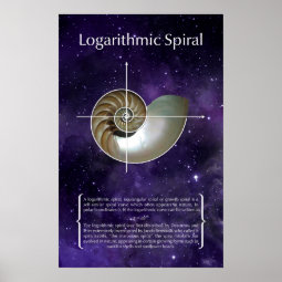 Logarithmic Spiral Poster | Zazzle