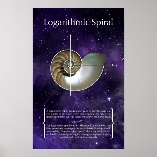 Logarithmic Spiral Poster | Zazzle