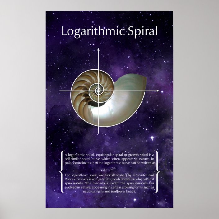 Logarithmic Spiral Poster | Zazzle.com
