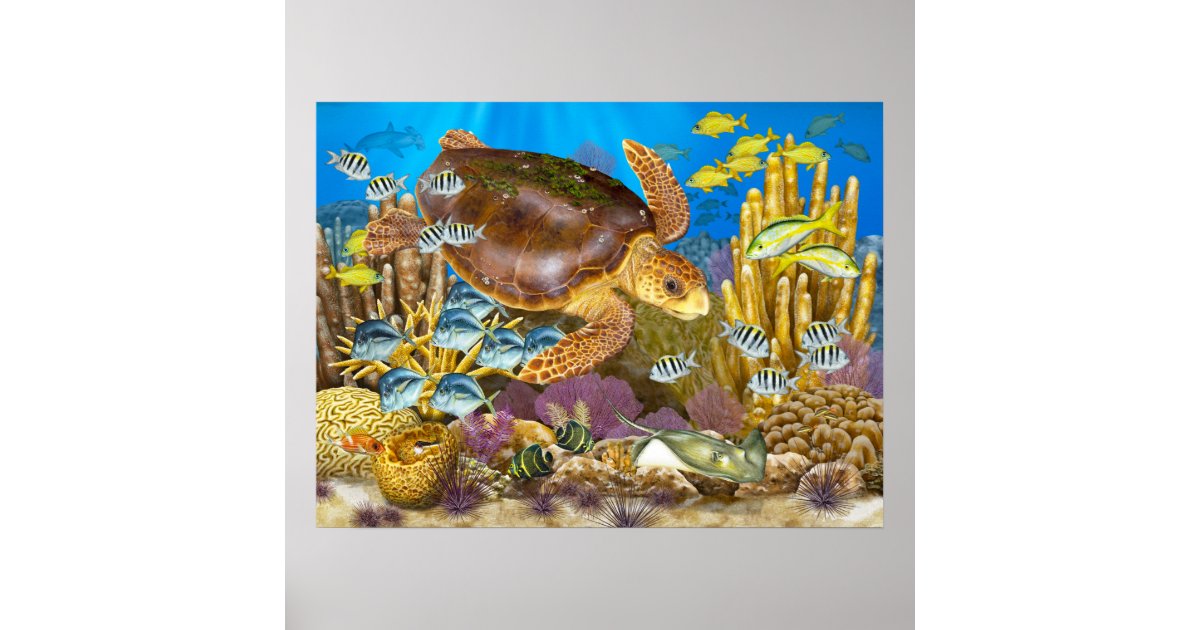 Loggerhead Sea Turtle Over Reef Poster | Zazzle