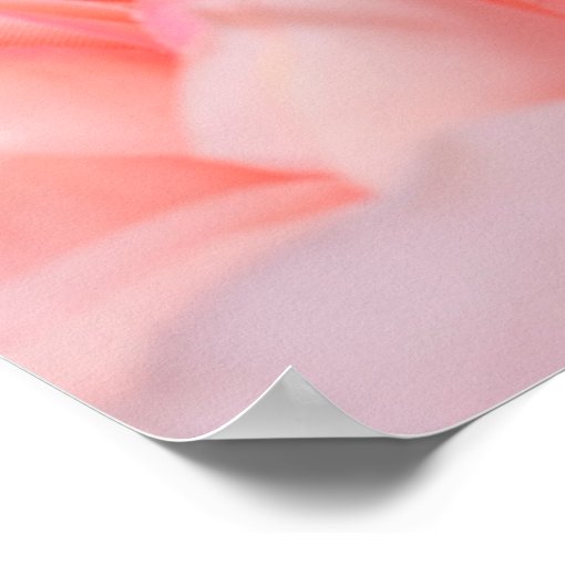 Loki Pink Floral Poster | Zazzle