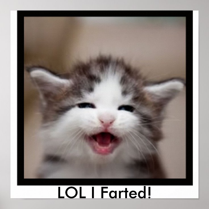 LOL I Farted! Poster | Zazzle