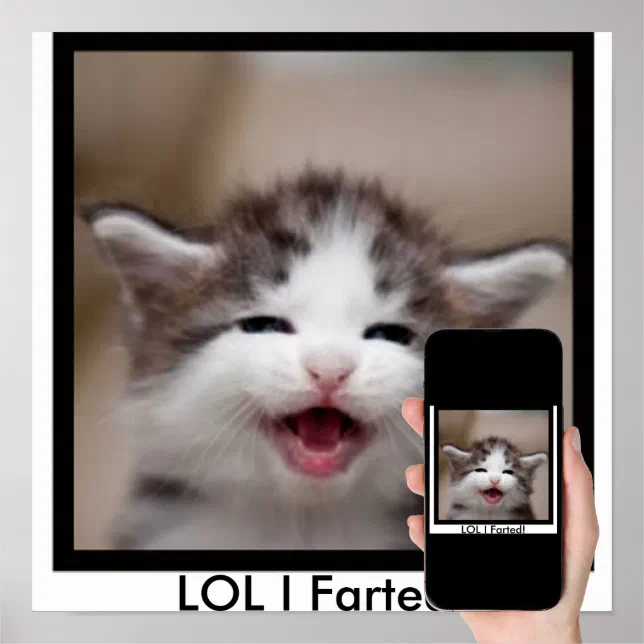 LOL I Farted! Poster | Zazzle