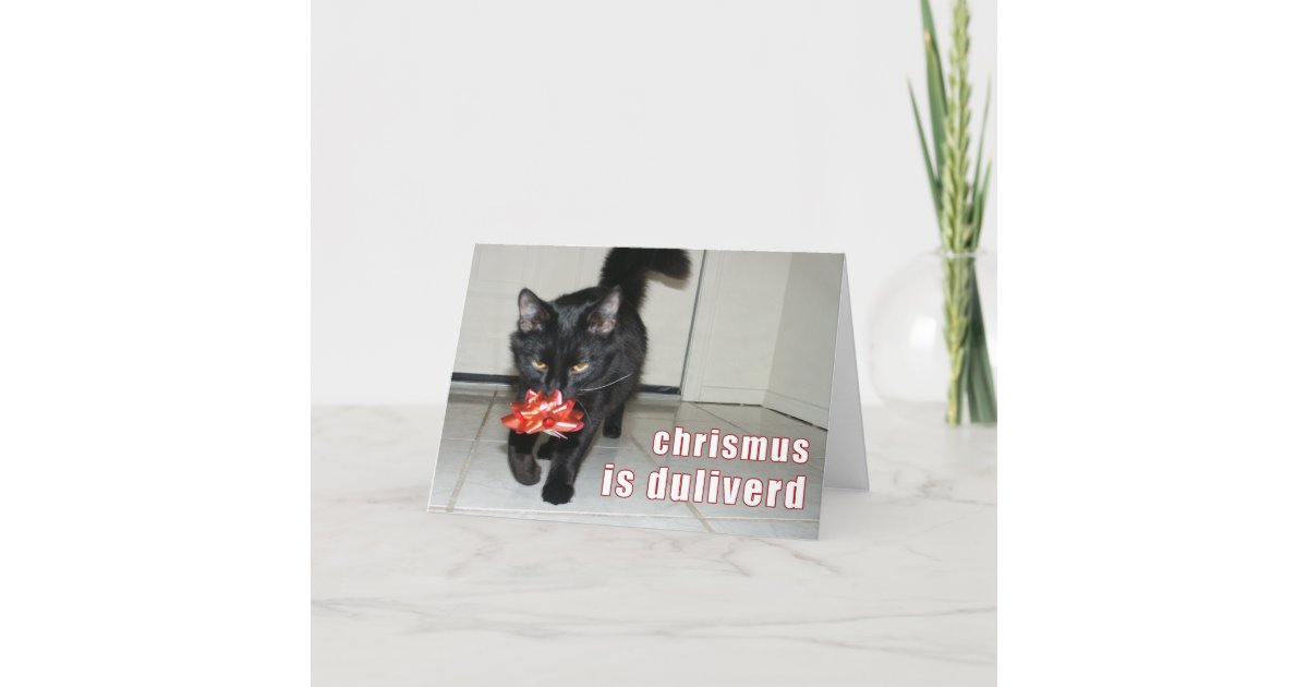 lolcat Christmas Card | Zazzle
