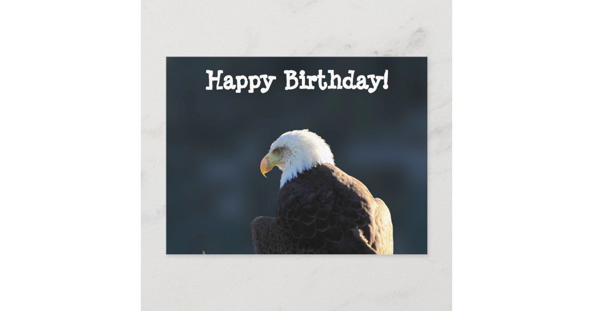 Lone Bald Eagle; Happy Birthday Postcard | Zazzle Lone Bald Eagle; Happy Birthday Postcard | Zazzle
