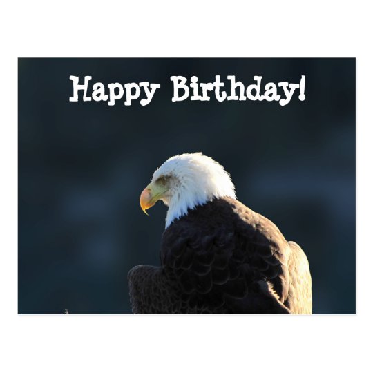 Lone Bald Eagle; Happy Birthday Postcard | Zazzle.com