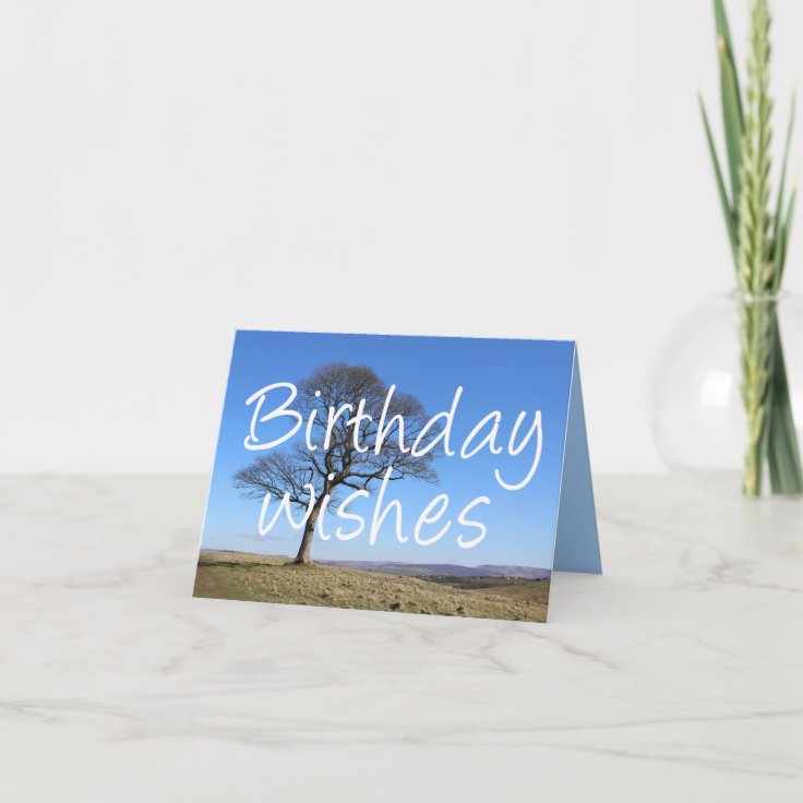 Lone tree, tree lovers and arborists card | Zazzle