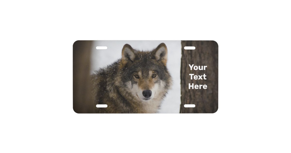 Lone Wolf License Plate | Zazzle