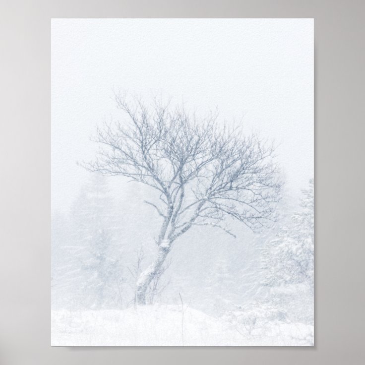 Lonely tree during snow storm in winter poster | Zazzle
