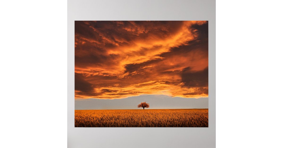 lonely tree nature abstract landscape poster | Zazzle