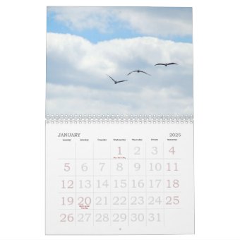 Long Beach Island! Calendar | Zazzle