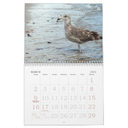 Long Beach Island! Calendar | Zazzle