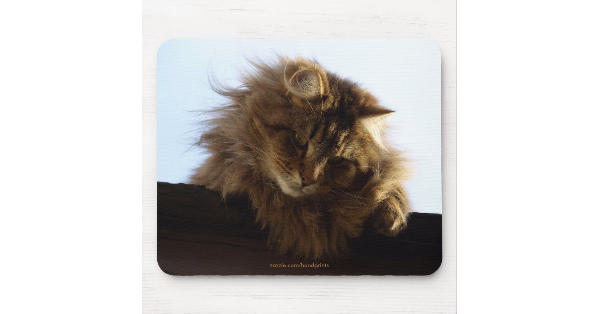 Long-hair Tabby Cat Mousepad | Zazzle