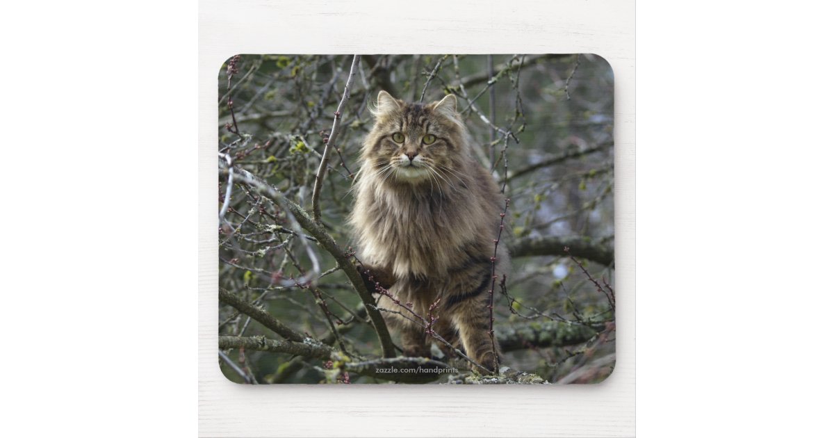 Long-hair Tabby Cat Mousepad | Zazzle