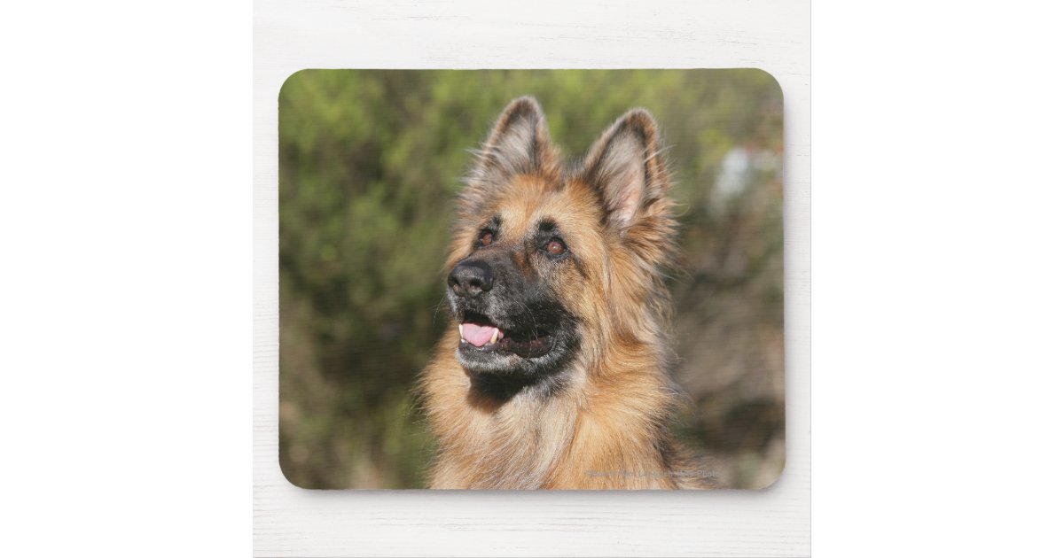 Long Haired German Shepherd 1 Mouse Pad | Zazzle