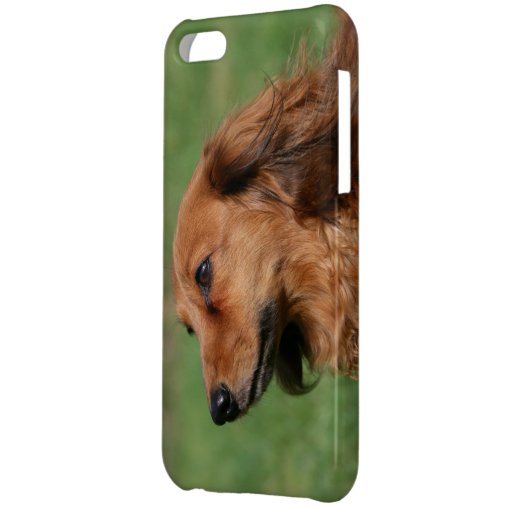 Long-haired Miniature Dachshund 2 iPhone Case | Zazzle