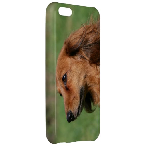 Long-haired Miniature Dachshund 2 iPhone Case | Zazzle